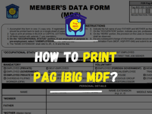 [1 Click Away] How to Print PAG IBIG MDF? | PIHLC