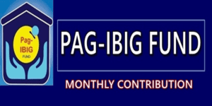 [UPDATED] Pag IBIG Contribution Table 2024 | PIHLC